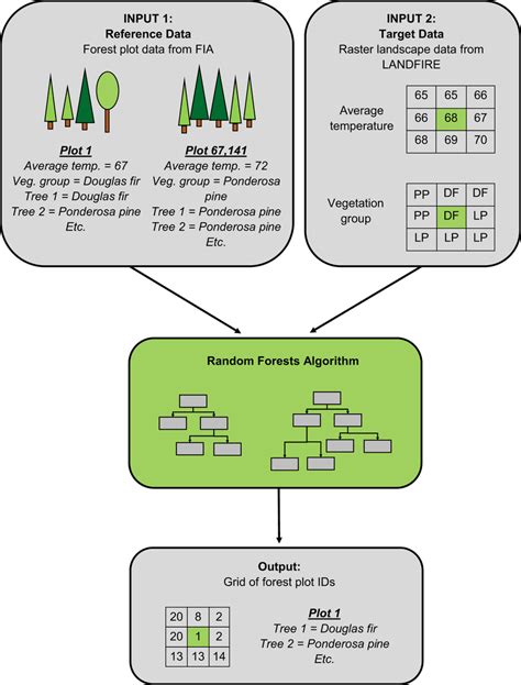 The Project Workflow Fia Forest Plots Reference Data And Raster Download Scientific Diagram