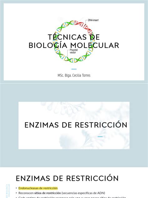 2 Tecnicas De Biologia Molecular Pdf Secuencia Adn Reacción En