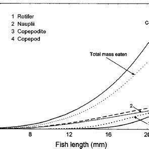 Maximum Consumption C Max Equation 13 Total Mass Download Scientific Diagram