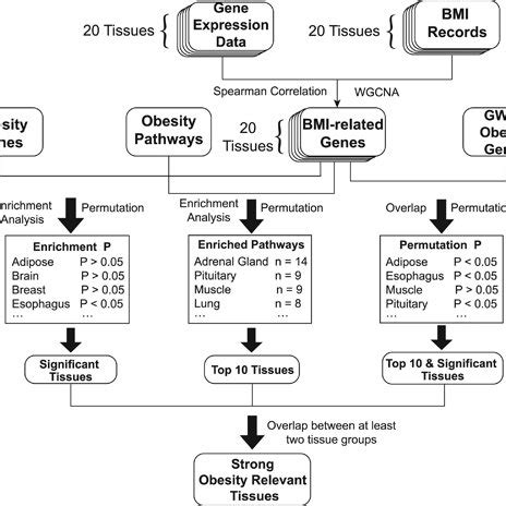 Workflow Diagram Of The Study Design Download Scientific Diagram