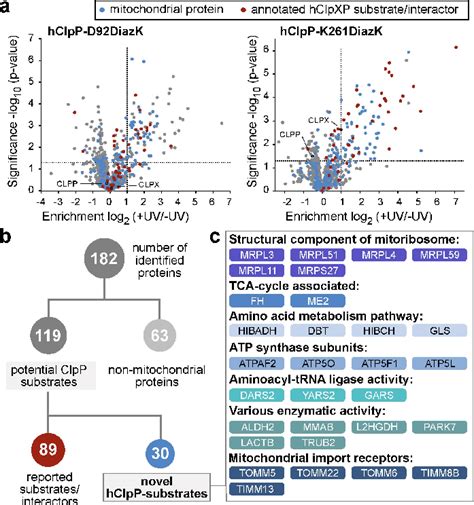 Proteomic Analysis Of Photocrosslinking Experiments A Graphical