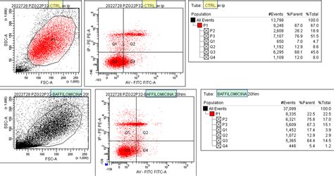 Annexin V Pi Double Staining By Flow Cytometry Researchgate