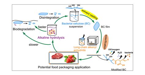 Cellulose