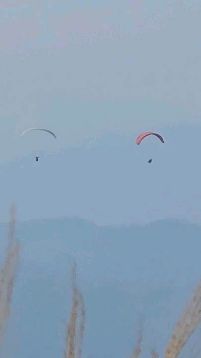 가평 유명산 패러글라이딩 패러글라이딩 드론 낙하 스카이다이빙 새가되어날으리 송골매 Youtube