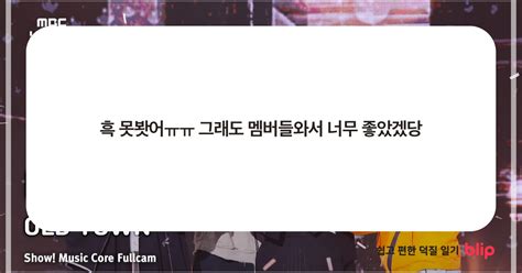 멜로디박쭈님이 작성한 비투비 팬로그