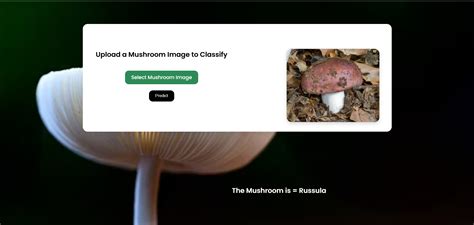 github rohitmh09 ai mushroom classification analysis