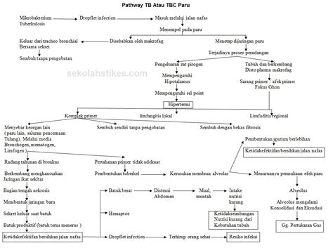 Pathway Dan Patofisiologi Tbc Atau Tb Paru Hemaptoe Sekolahstikes