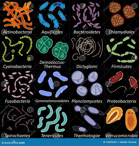 Cyanobacteria Cartoons Illustrations And Vector Stock Images 2135 Pictures To Download From