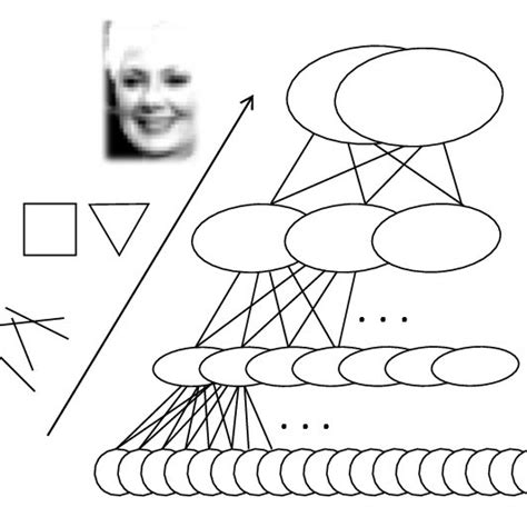 1 A Layers I Vi Of The Visual Cortex Are Shown In A Cross Section Download Scientific