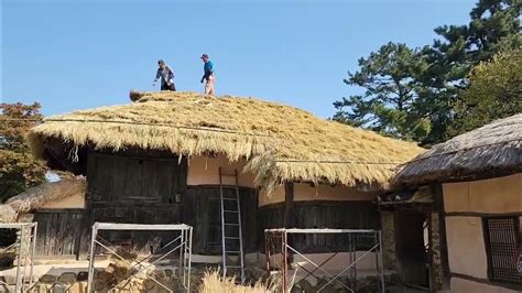 초가집 지붕 교체작업 Youtube