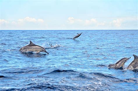 모리셔스여행 자유여행 및 추천 여행지 Funbooky