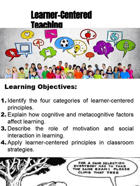 Learner Centered Principles Pdf Learning Motivational