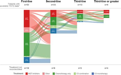Figure 1 From Real World Insights Into Patients With Advanced Nsclc And Met Alterations