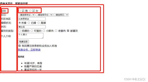 制作注册页面（html） html实现登录注册页面 csdn博客