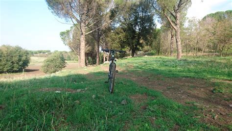 Valle Martella Valle Martella Città Metropolitana Di Roma Capitale