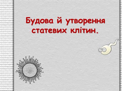 Будова й утворення статевих клітин презентация онлайн