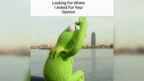 35 Top Funniest Kermit Memes 😂🤣 Reactions And Vines Kermit Meme