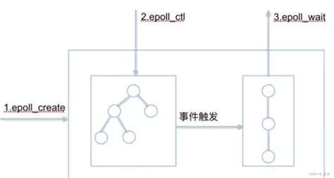 i o多路复用模型实现——epoll 阿里云开发者社区
