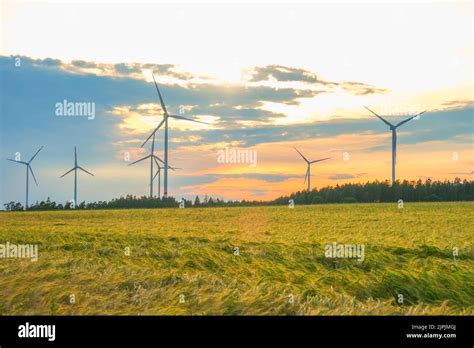 Wind Generators In A Wheat Fieldripe Wheat And Windmillsr Alternative