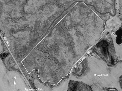 Gate Plot Aerial Photograph Showing The Boundary White Line Of The Download Scientific