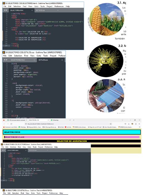 Diseño Selectores Css Pdf