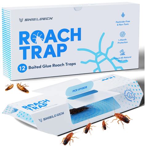 5 Best Home Treatment For Roaches Stops Roach Infestations