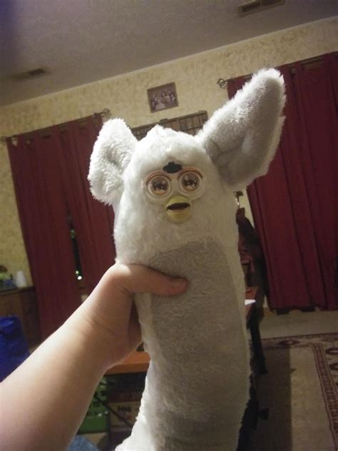 Please Name My First Born Son R Longfurbies