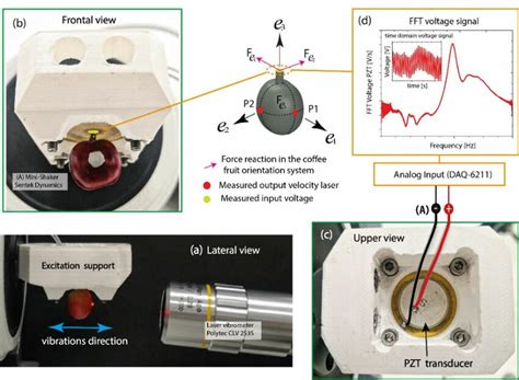 Experimental Setup For Modal Analysis A Lateral View Of The Download Scientific Diagram