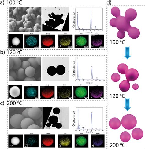SEM, TEM images, TEM EDS spectra, elemental mapping images of N, O, C,... | Download Scientific ...