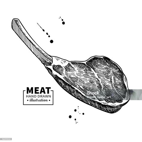 갈비 벡터 그림입니다 쇠고기 돼지고기 또는 양고기 쇠고기 손으로 그린된 스케치 판화 제작물에 대한 스톡 벡터 아트 및 기타 이미지 판화 제작물 고기 농장 Istock