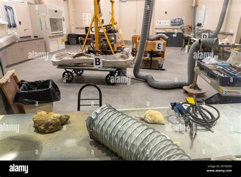 Working Tools For Cleaning Fossils In The Laboratory Of The Utah Field House Of Natural History