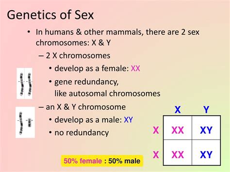 Ppt Beyond Mendels Laws Of Inheritance Powerpoint Presentation Free Download Id
