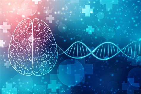 Is Intelligence Determined By Genetics