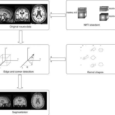 Schema Of Complete Neuroimaging Segmentation Process Download Scientific Diagram