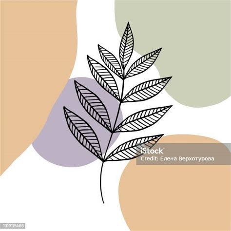 흰색 배경에 트렌디 한 보헤미안 포스터 벽지 디자인에 대한 평면 중반 세기 현대 보헤미안 스칸디나비아 미니멀 한 예술 디자인