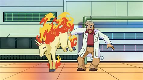 Pokemon GO Rapidash Best Moveset Counters And Is It Any Good