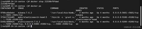 docker—启动、停止、重启容器实例 docker启动停止的容器 csdn博客