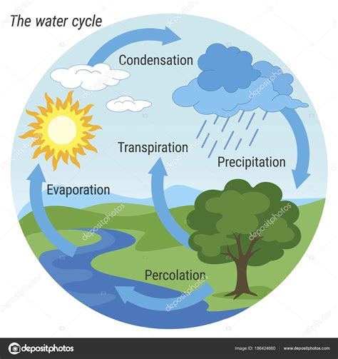 Desenhos Do Ciclo Da Agua Revoeduca