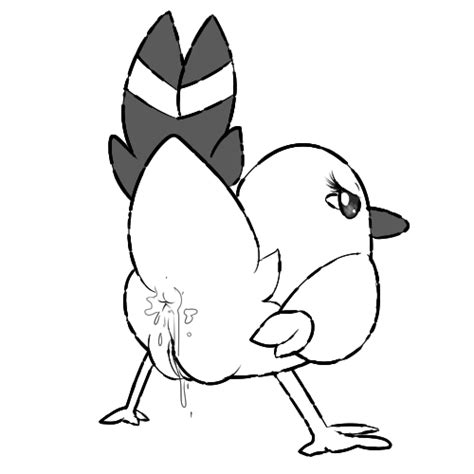 Rule 34 Anus Beak Dripping Feathers Female Fletchling Monochrome Nintendo Penis Plain