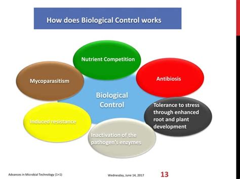 Biocontrol Agents Production And Application Pptx