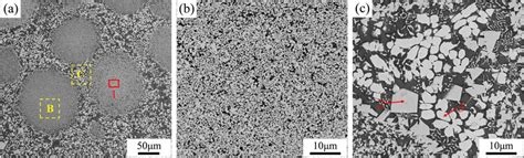 A Cross Sectional Microstructure Of The Upper Region Of The Coating