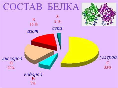Белки. Состав белка - презентация онлайн