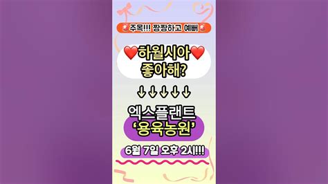 예고 짱짱하고 예쁜 하월시아 특집 특가로 득템하세요 다육라이브 라이브방송 엑스플랜트 용육농원 하월시아 Haworthia 다육이