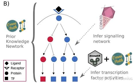 单细胞空间联合分析之SpatialScope 知乎
