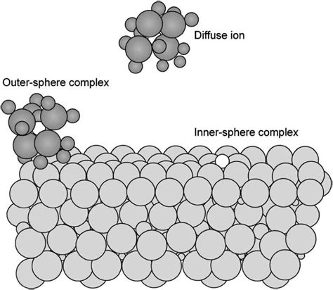 Represents The Diffusion Of Ions Into The Outer And Inner Surface Download Scientific Diagram