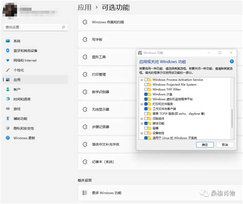 想体验net7又不想安装体验版，windows沙盒了解一下 董川民