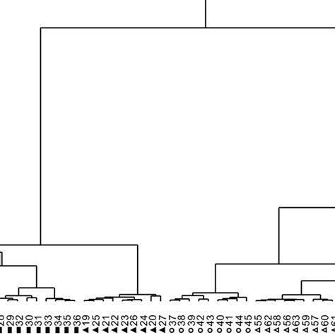 Cluster Analysis Ward Distance Scale Based On Morphological