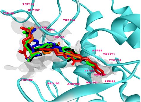 Superposition Of Fa Black Mtx Orange Ptx Blue Fol03 Green