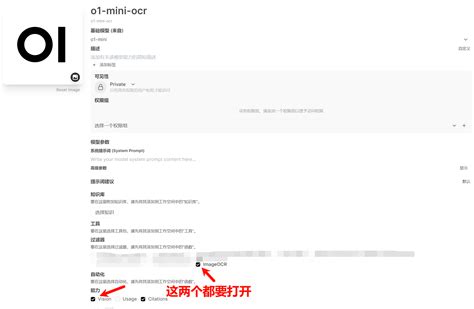 在openwebui中对传入的图片进行文字识别后再交给模型处理 搞七捻三 linux do