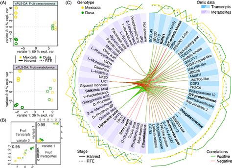 Figure 6 From A First Omics Data Integration Approach In Hass Avocados To Evaluate Rootstock